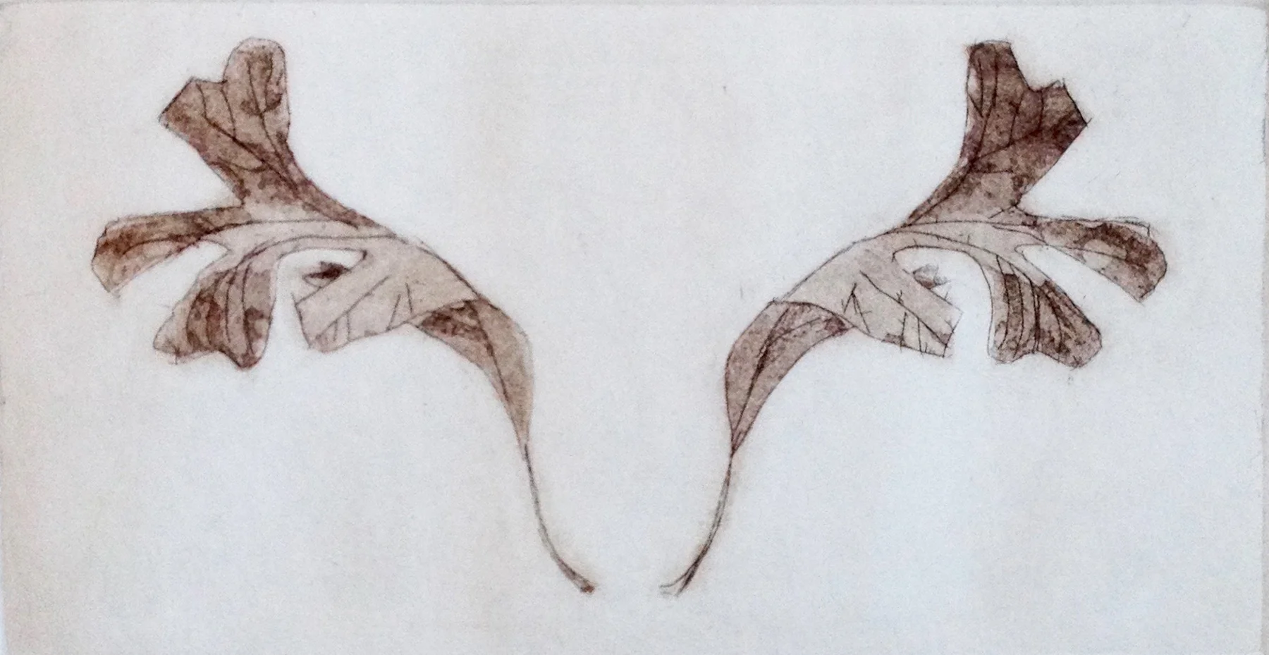 Mary D. Ott Prints the Forest and the Trees — Touchstone Gallery