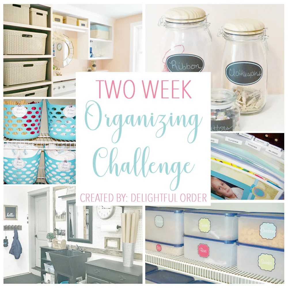 Organize Your Home in Just Two Weeks — Delightful Order