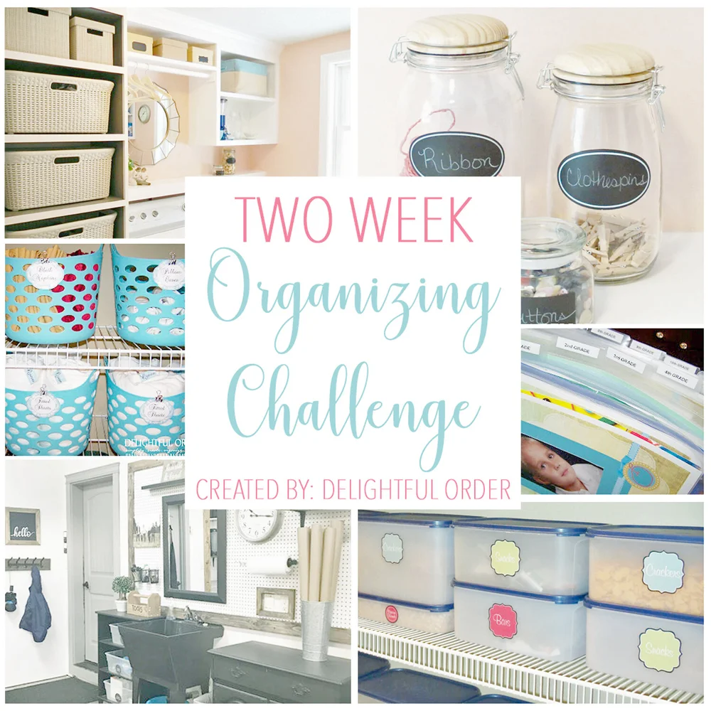 2 Week Organizing Challenge Guide — Delightful Order