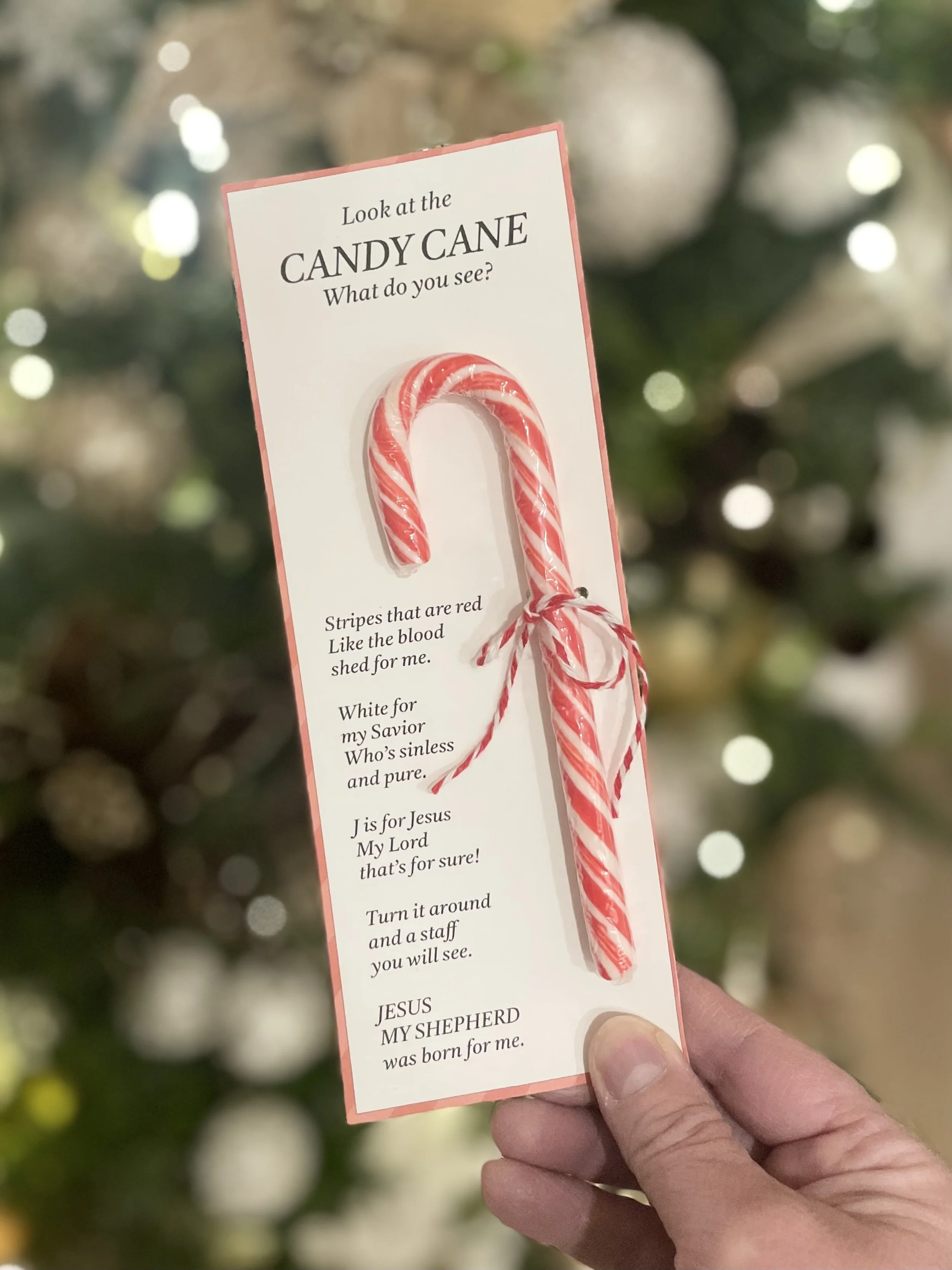 Christmas Candy Cane Poem - A Free Printable — Delightful Order