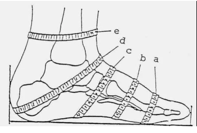 Boot Form — ROLE CLUB