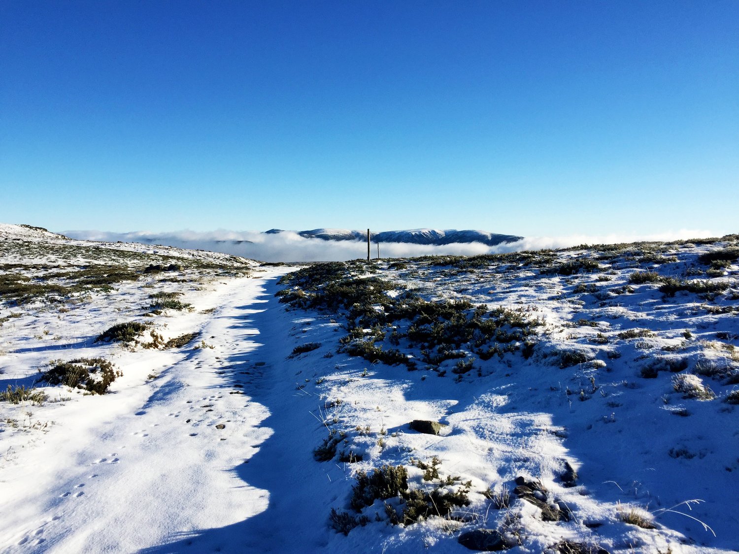 The Falls Creek to Mount Bogong Loop | Unleashed-Unlimited