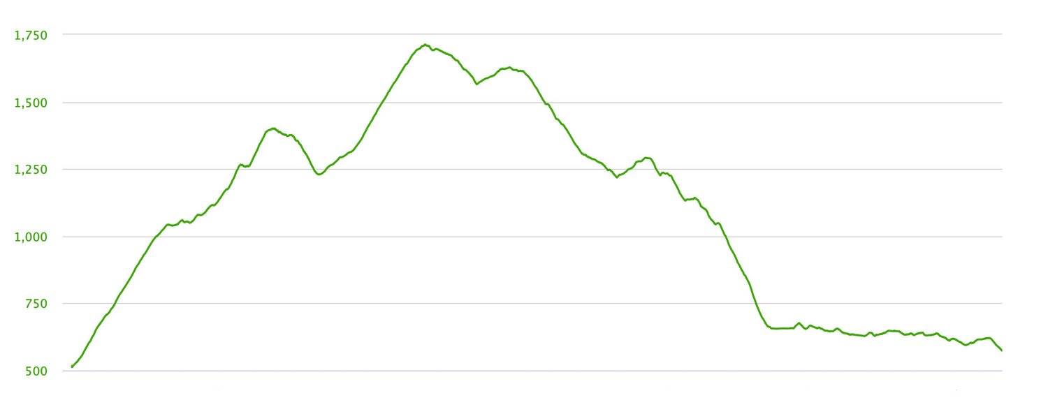 Howqua River and The Bluff Circuit | Unleashed-Unlimited