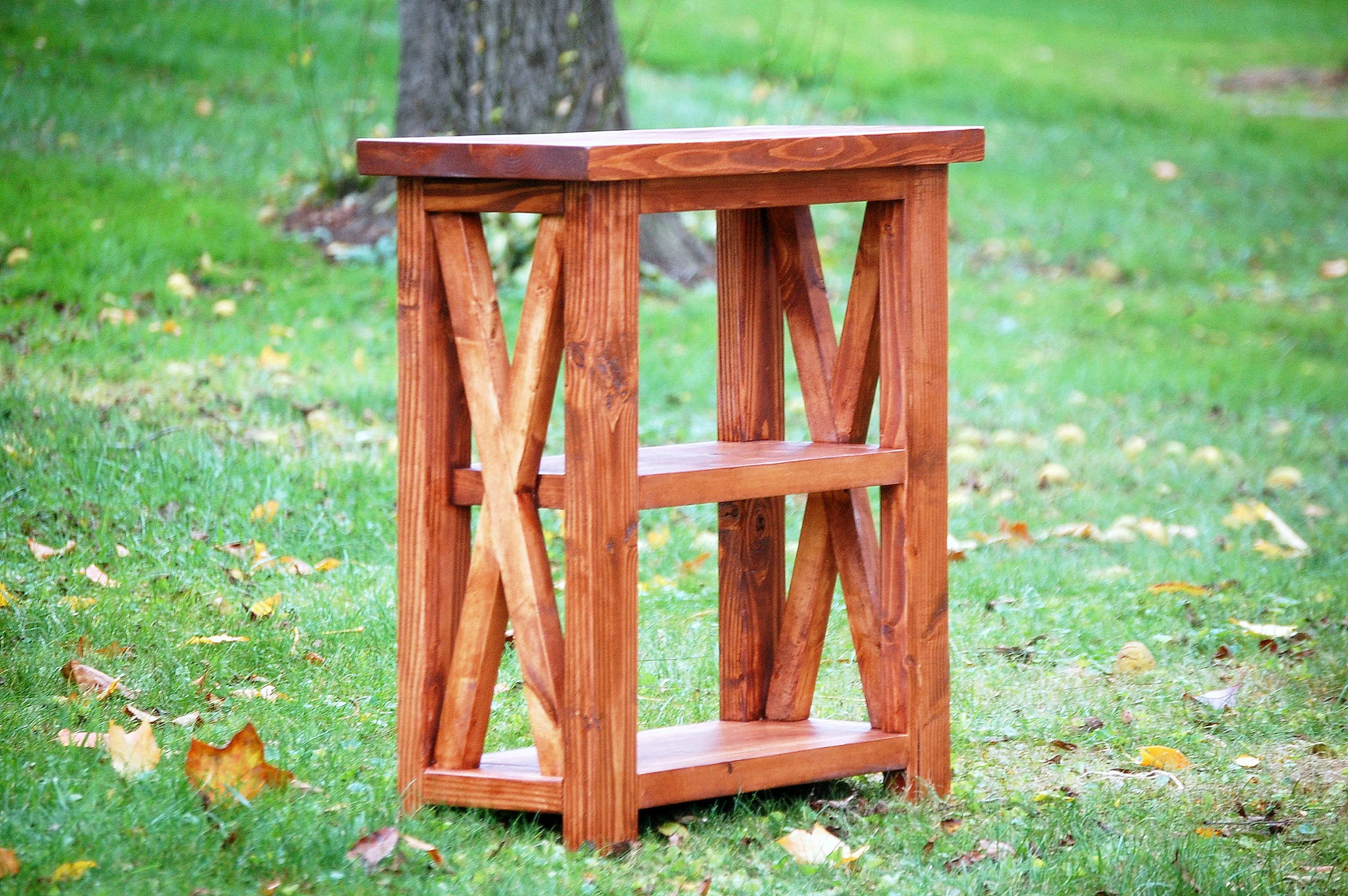Rustic X End Table
