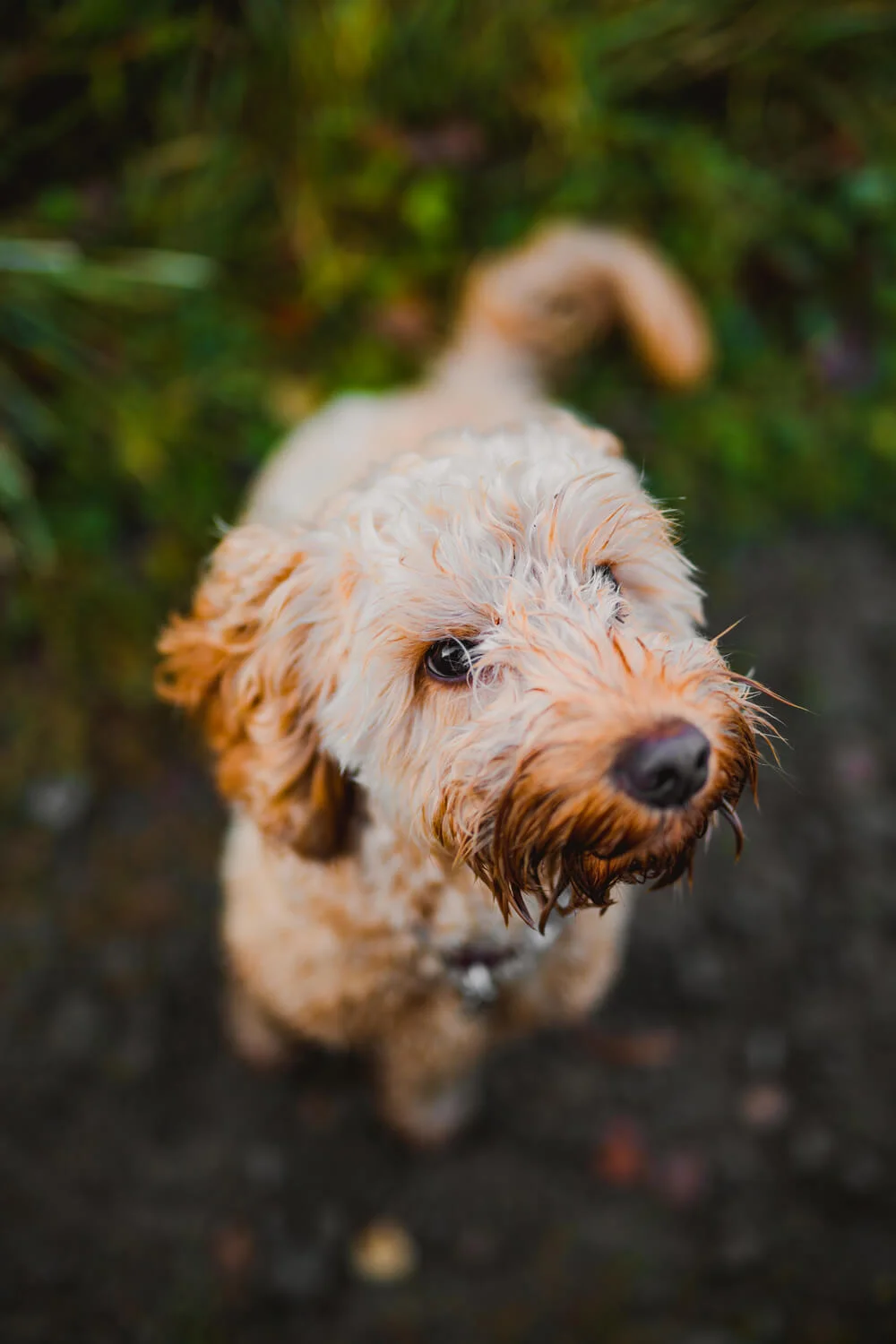 Warm Scarves and an Autumn Adventure — Collingwood-Norris