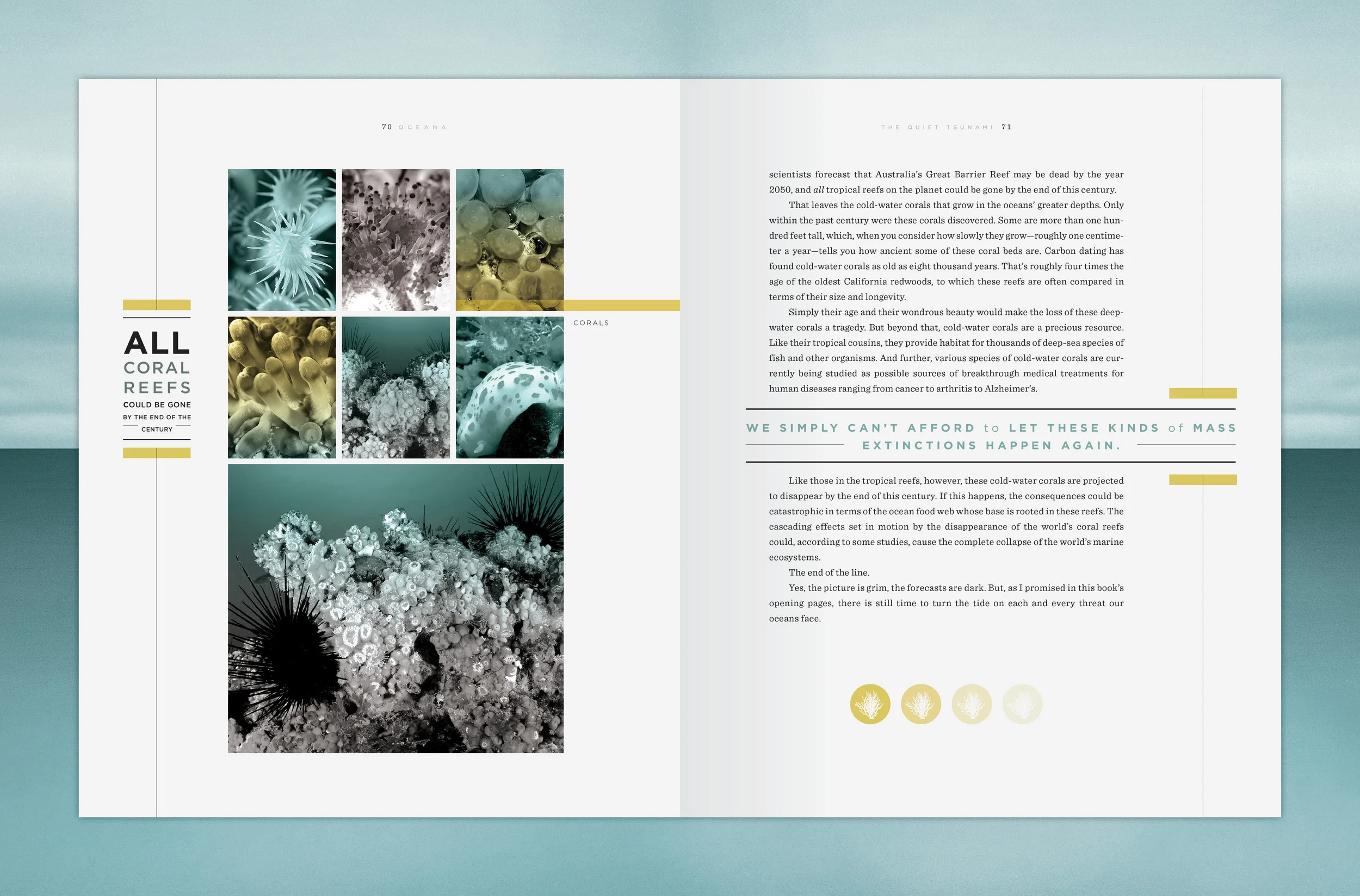 Oceana — Raphael Geroni