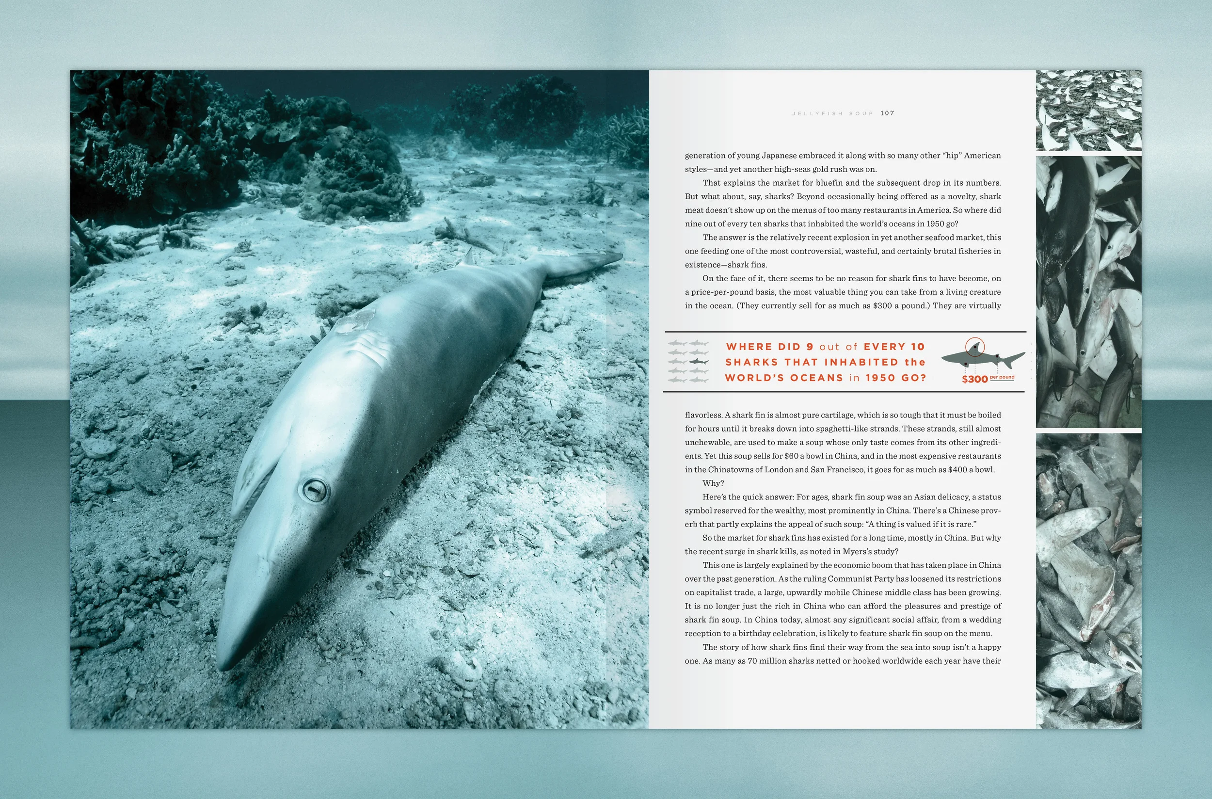 Oceana — Raphael Geroni