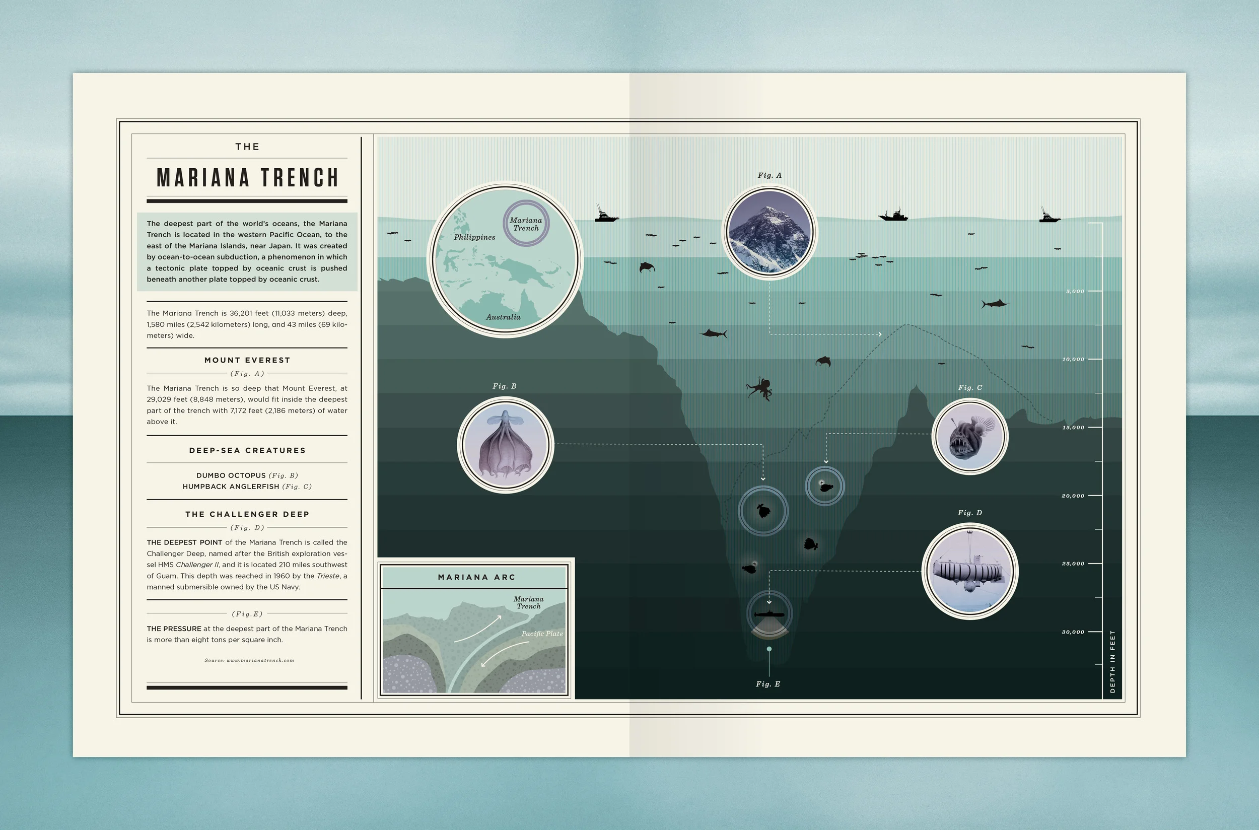 Oceana — Raphael Geroni