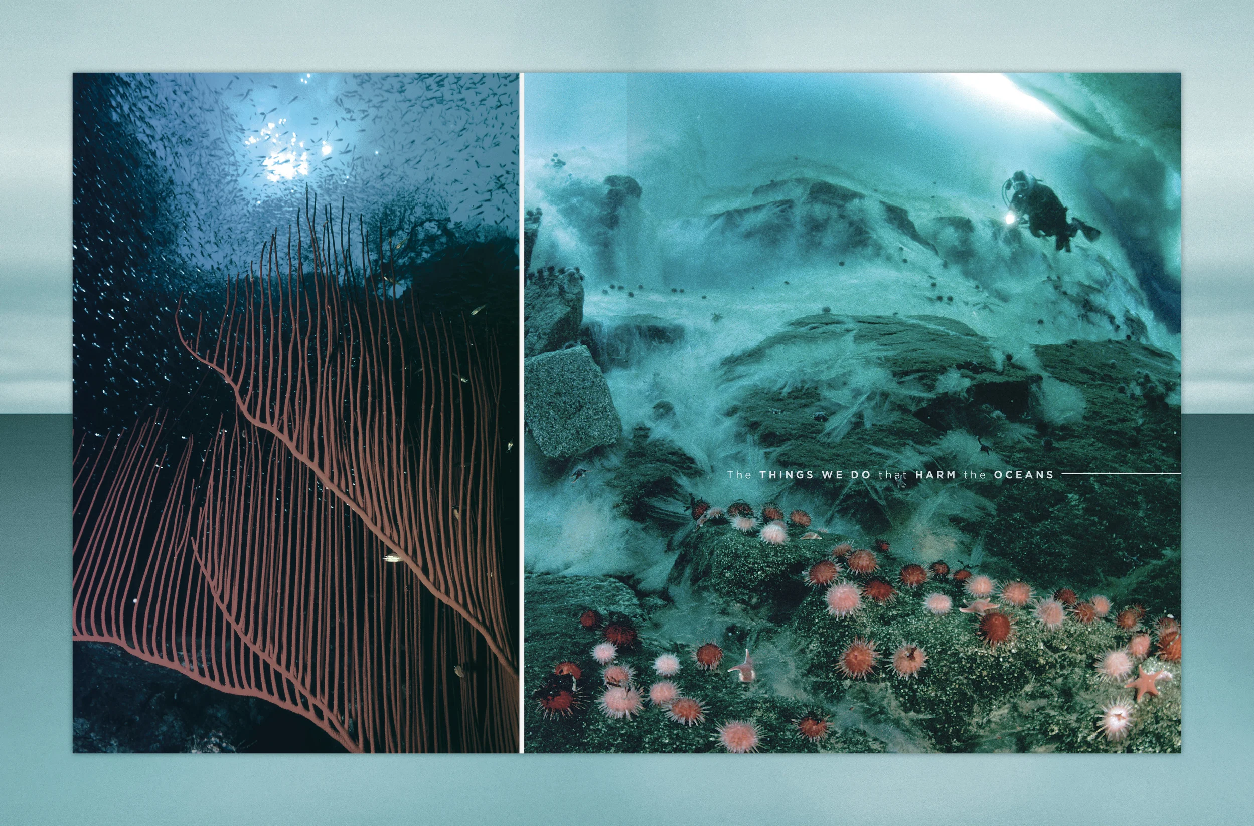 Oceana — Raphael Geroni