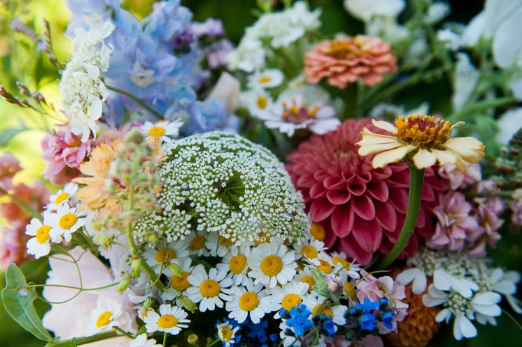 Julia & MattDance Palace — Susan Adler Photography | Bay Area Wedding ...