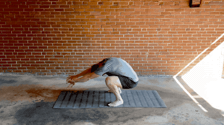 Animal Flow exercises ️Animal Movement Workout — Train Daly