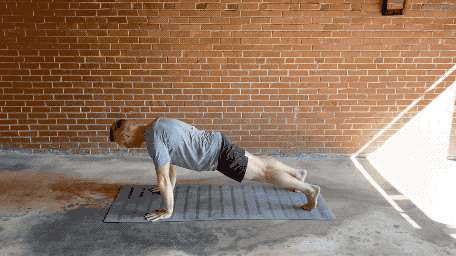 Animal Flow exercises ️Animal Movement Workout — Train Daly