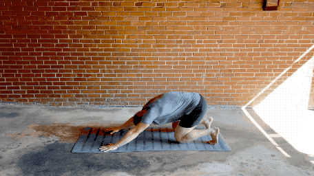 Animal Flow exercises ️Animal Movement Workout — Train Daly