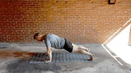 Animal Flow exercises ️Animal Movement Workout — Train Daly