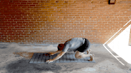 Animal Flow exercises ️Animal Movement Workout — Train Daly