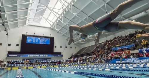 15 Best Swim Teams in the US for Youth Athletes — Train Daly
