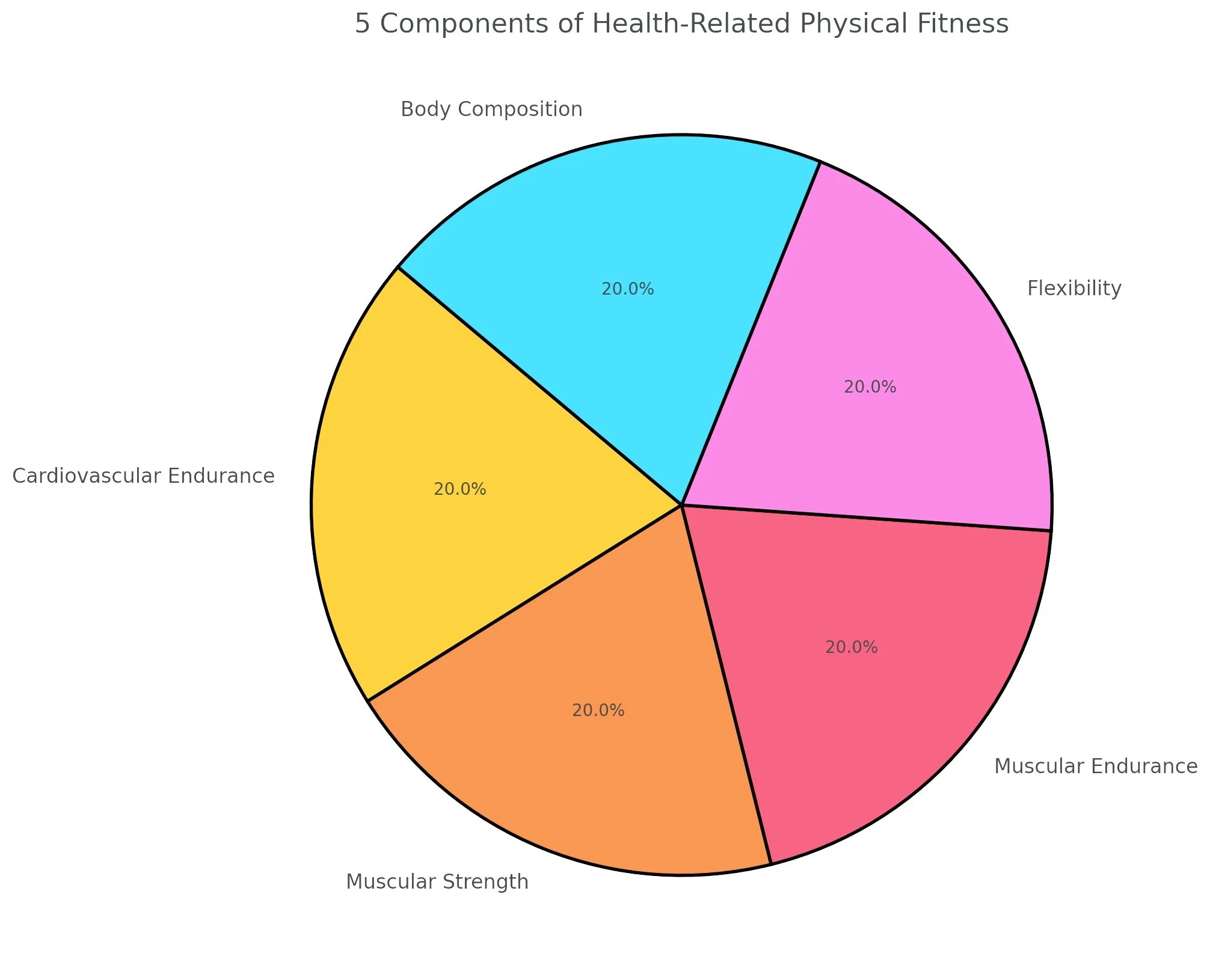 What Are the 5 Components of Fitness? — Train Daly
