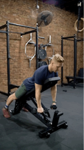 5 Reasons Every Swimmer Should Use Weights — Train Daly
