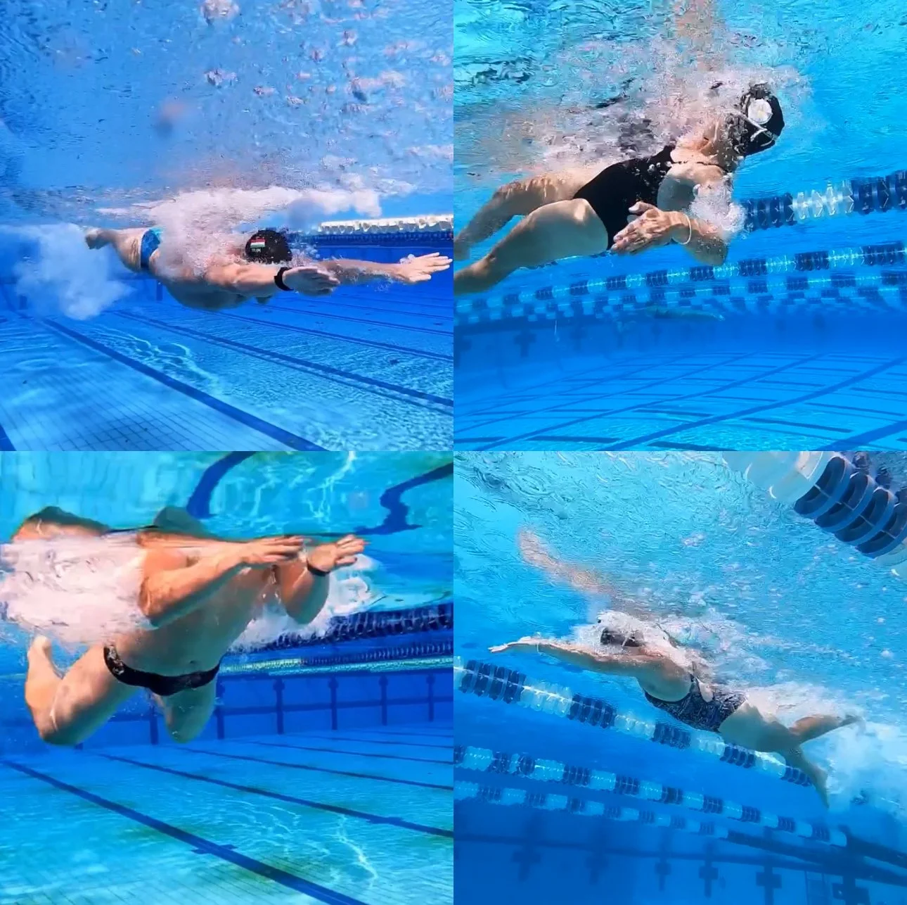 Swim Programs for Competitive Swimmers — Train Daly