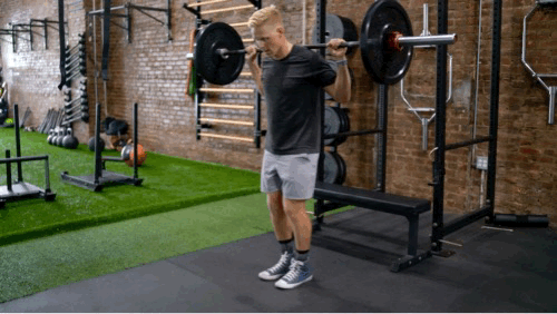 5 Reasons Every Swimmer Should Use Weights — Train Daly