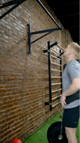 5 Reasons Every Swimmer Should Use Weights — Train Daly