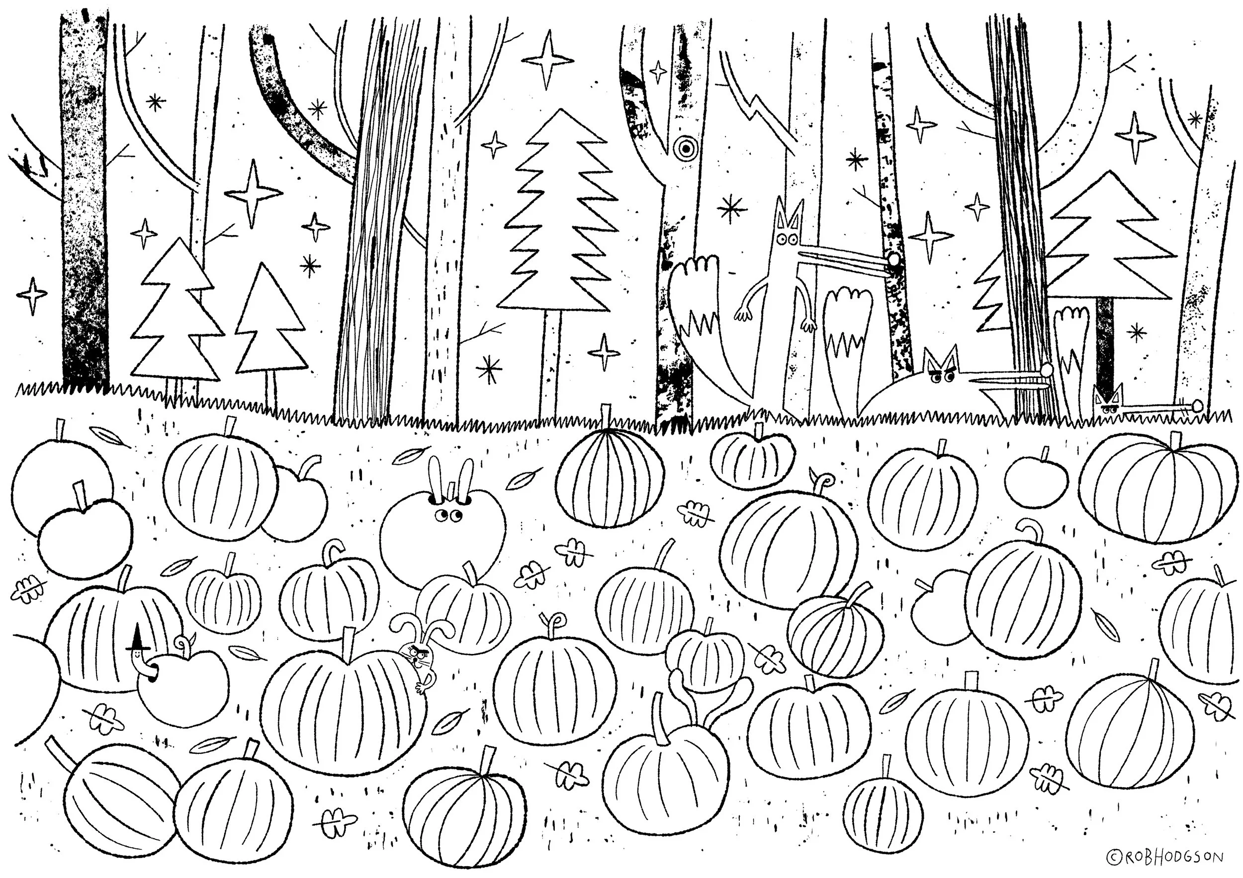 the Woods — Rob Hodgson Illustrator and Author