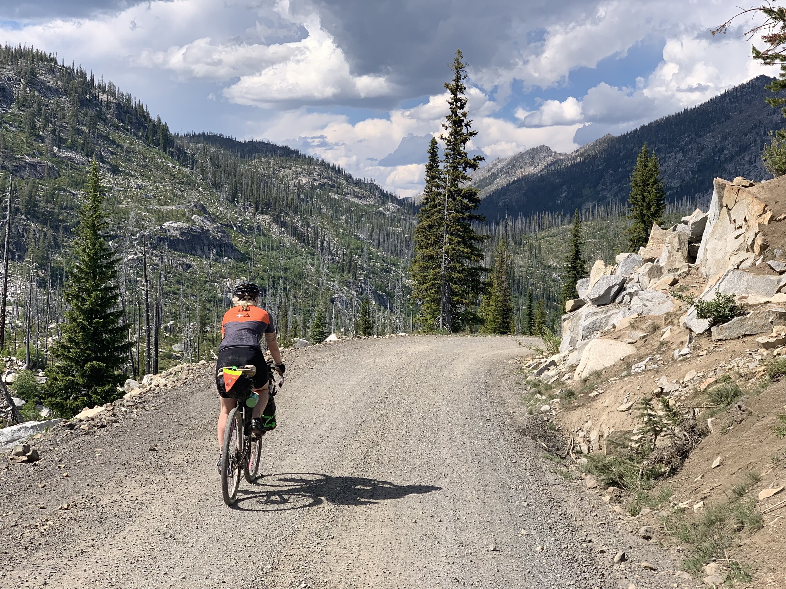 american adventure cycling association