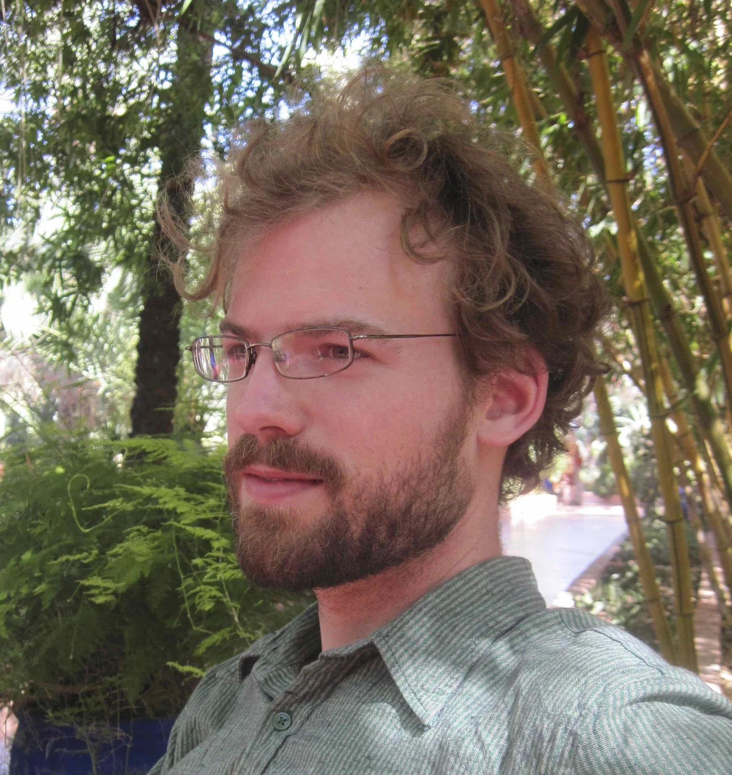 Jane Jacobs, an urban ecologist