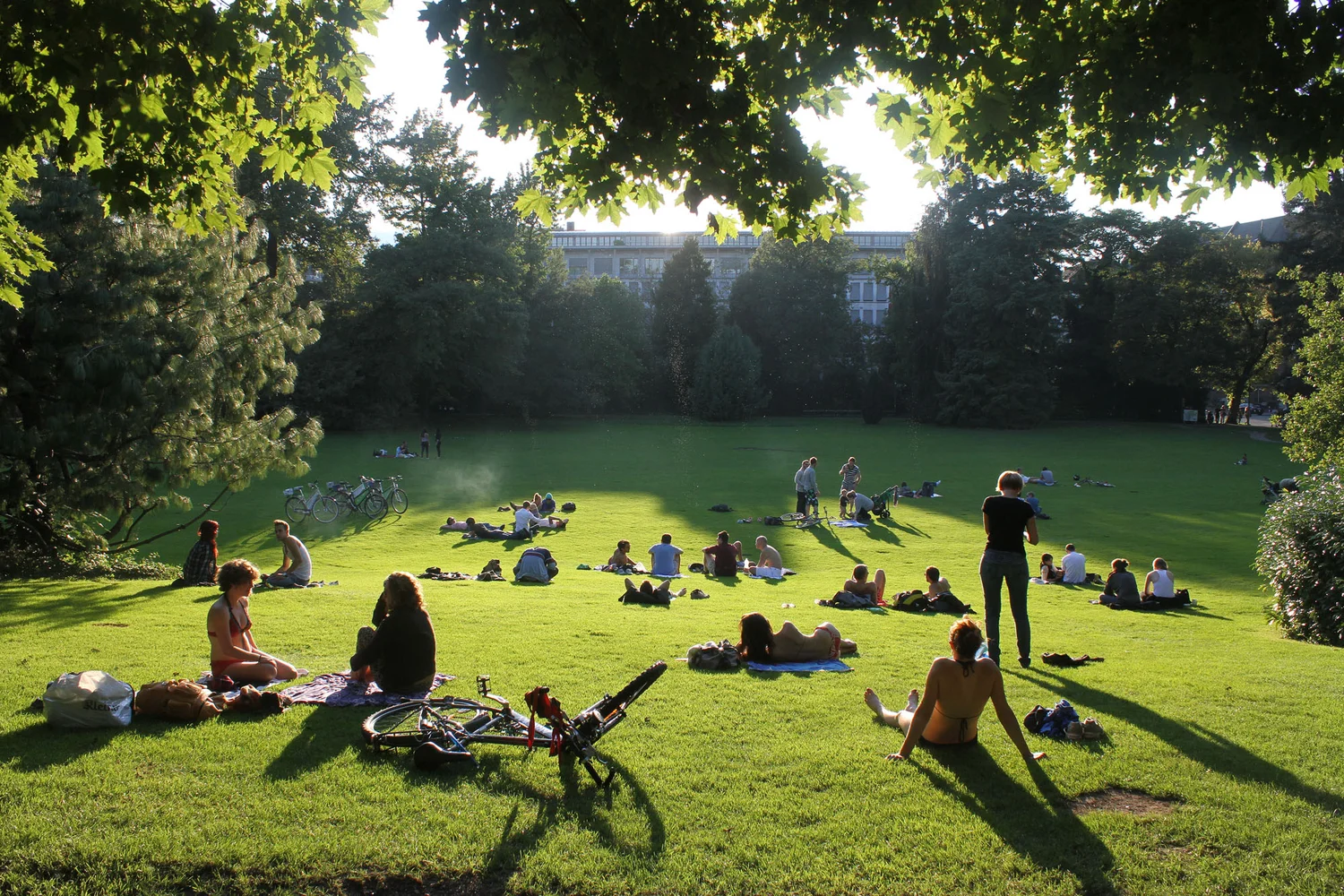 5 Reasons to Make Parks a Priority in Your Town