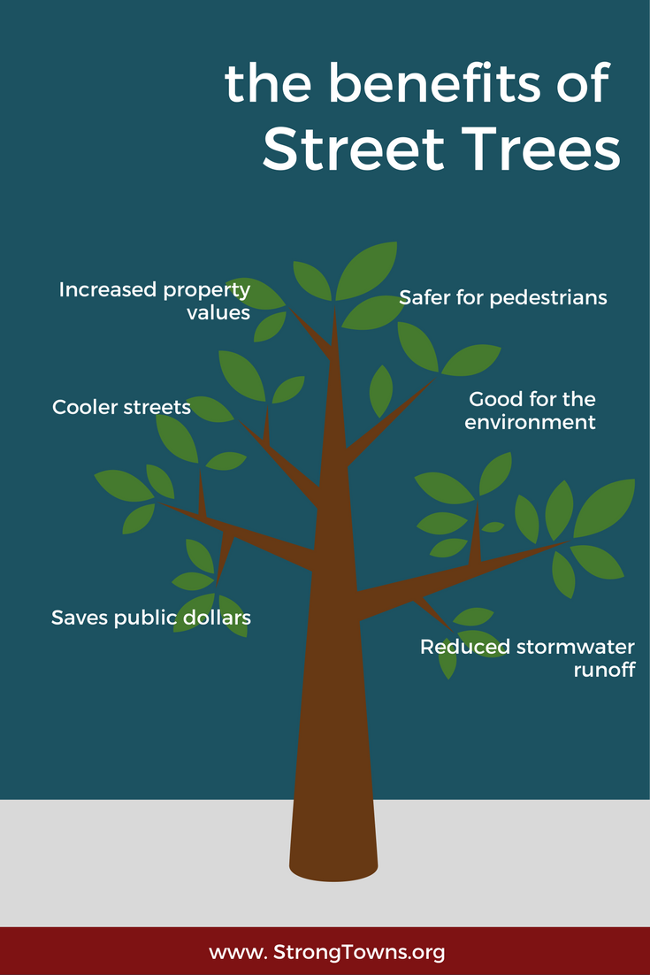 The Magic of Tree-Lined Streets