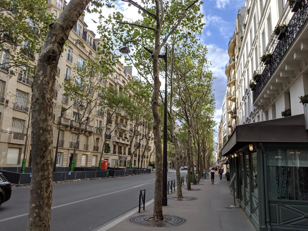 The Streets of Paris