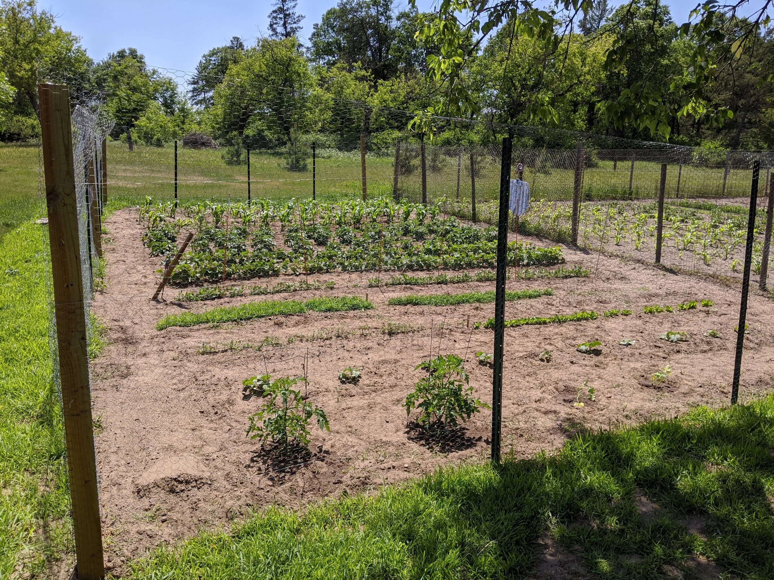It's Time to Fix Our Fragile Food Systems