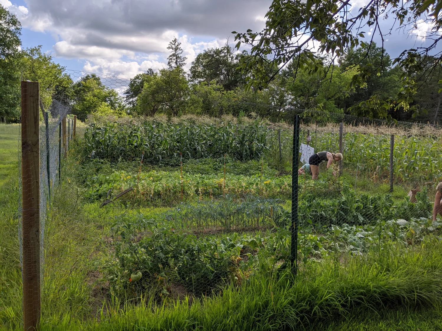 It's Time to Fix Our Fragile Food Systems