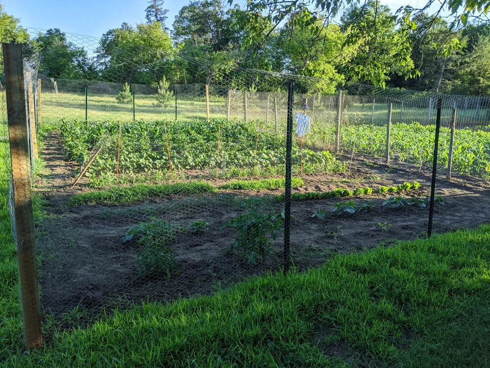 It's Time to Fix Our Fragile Food Systems