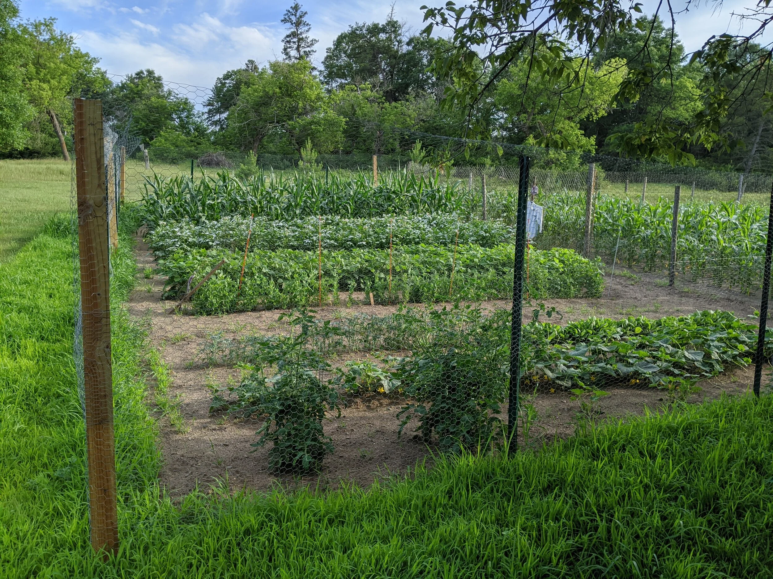 It's Time to Fix Our Fragile Food Systems