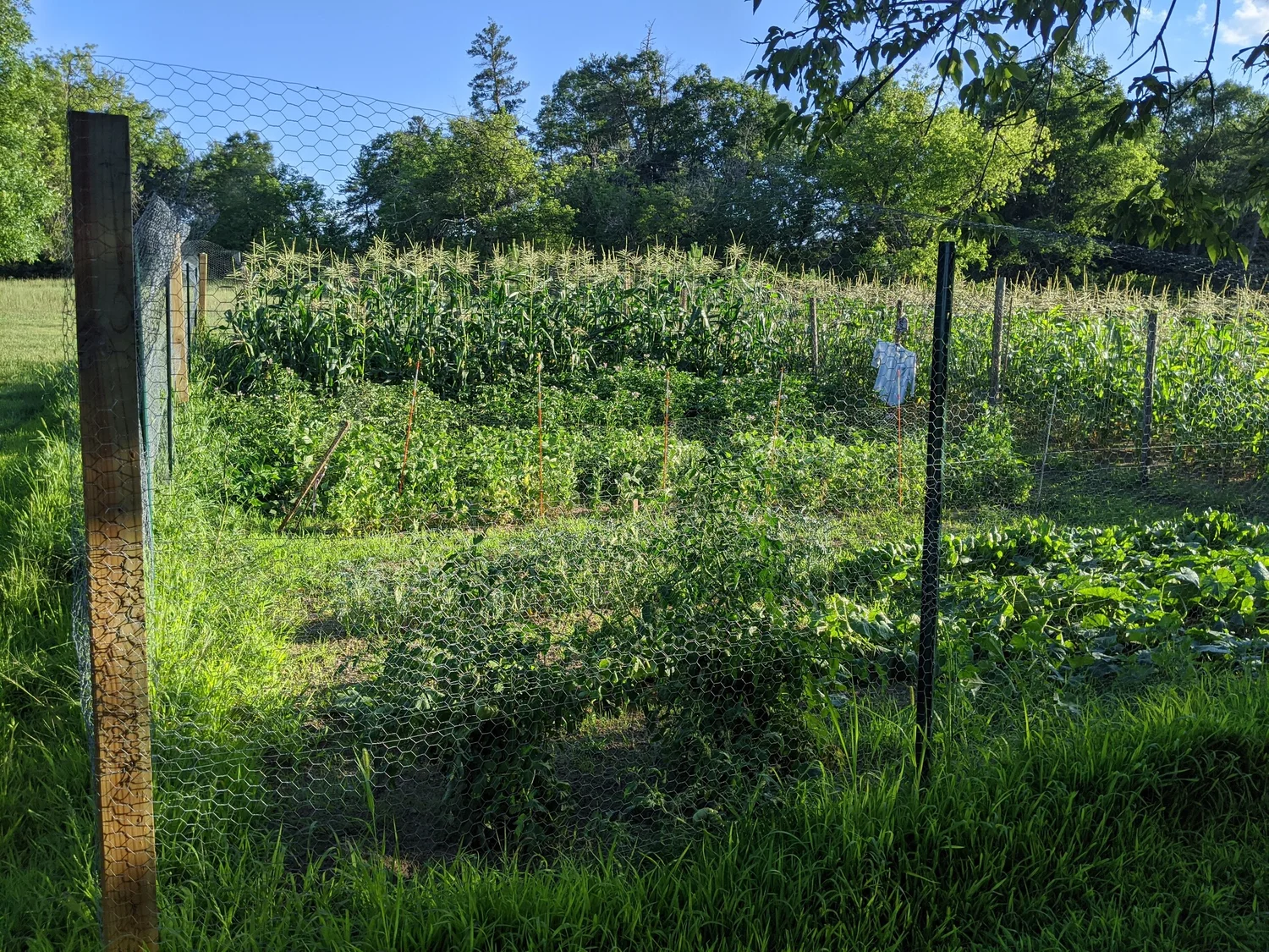 It's Time to Fix Our Fragile Food Systems
