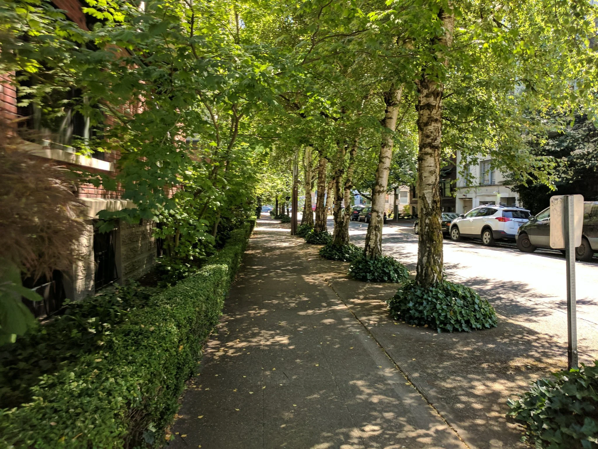 There is Unrest in the Urban Forest - resilience
