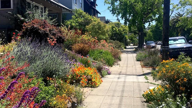 How Flower Power Can Grow Strong, Walkable Cities