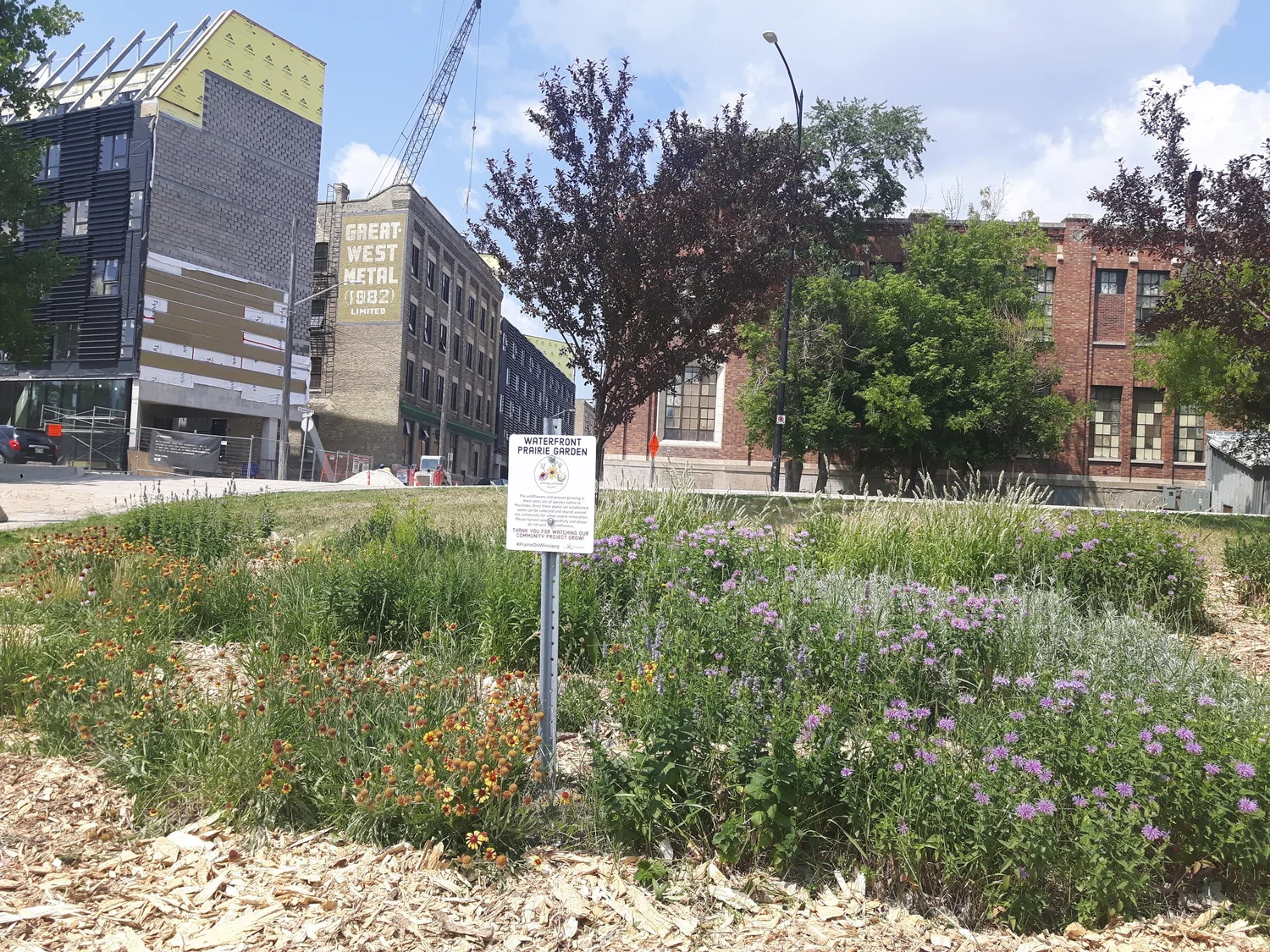 Are Multi-Use Paths the “Stroads” of Active Transportation Infrastructure?