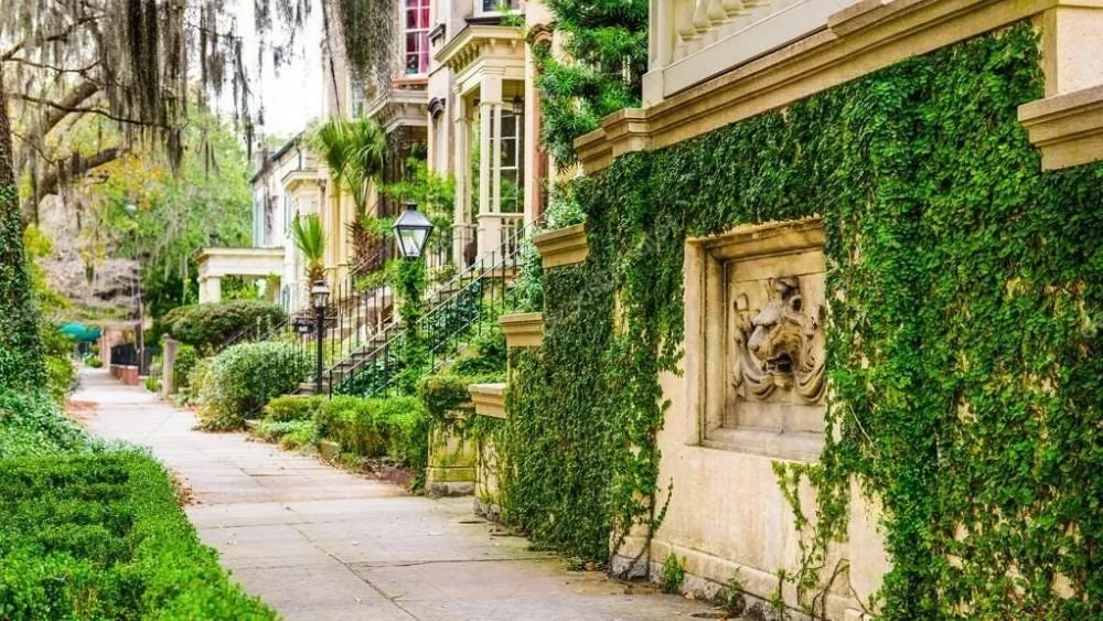 The Elements of a City: Structures, Conduits, and Interfaces