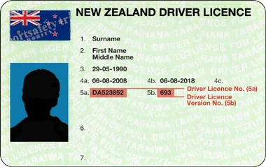 Driver's License — Bumblemom