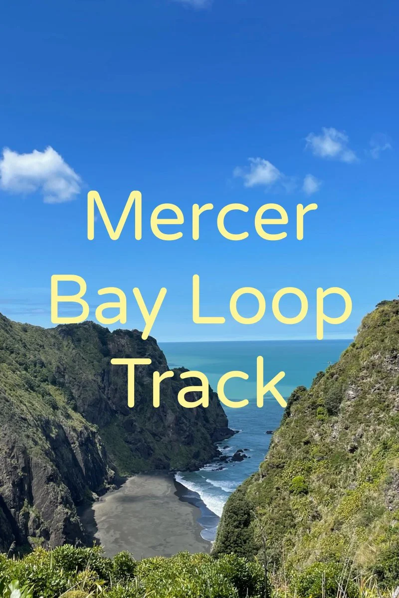 Mercer Bay Loop Walk — Bumblemom