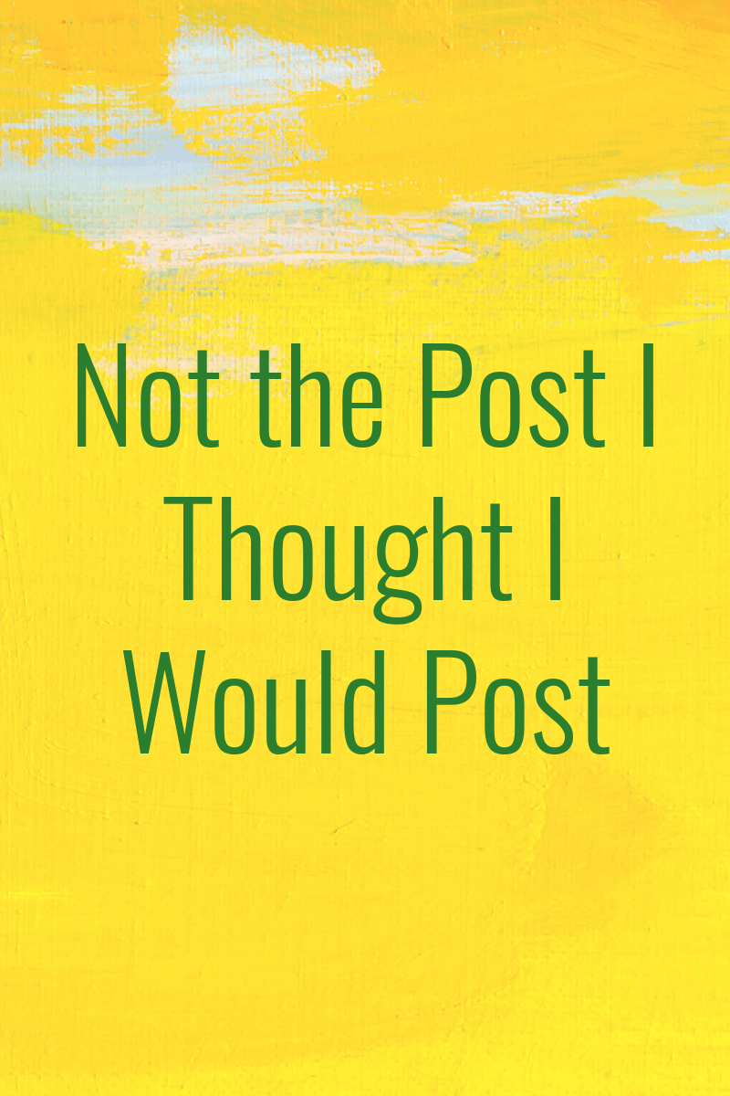 Not the Post I Thought I Would Post — Bumblemom