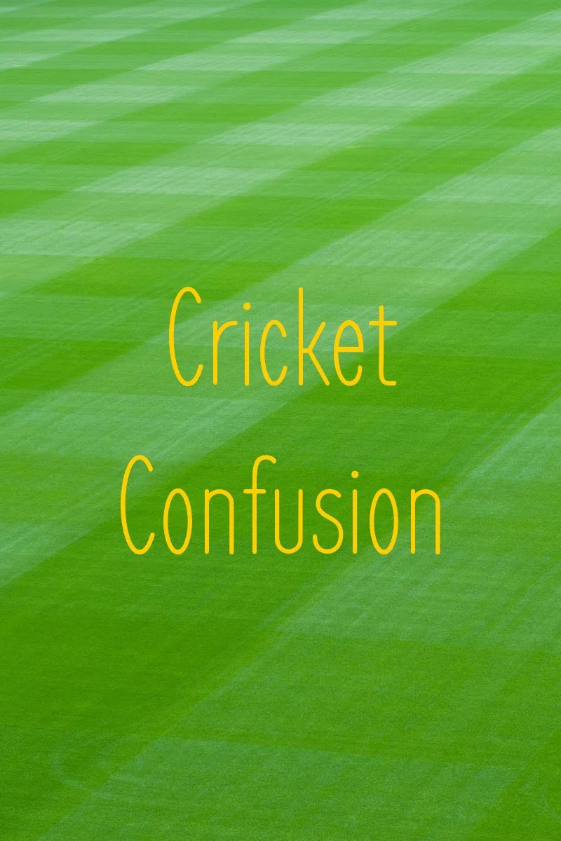 Cricket Confusion — Bumblemom
