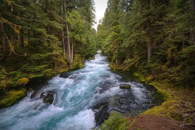 The Parable of the River — Skookum Kids | Foster Care and Emergency Shelter