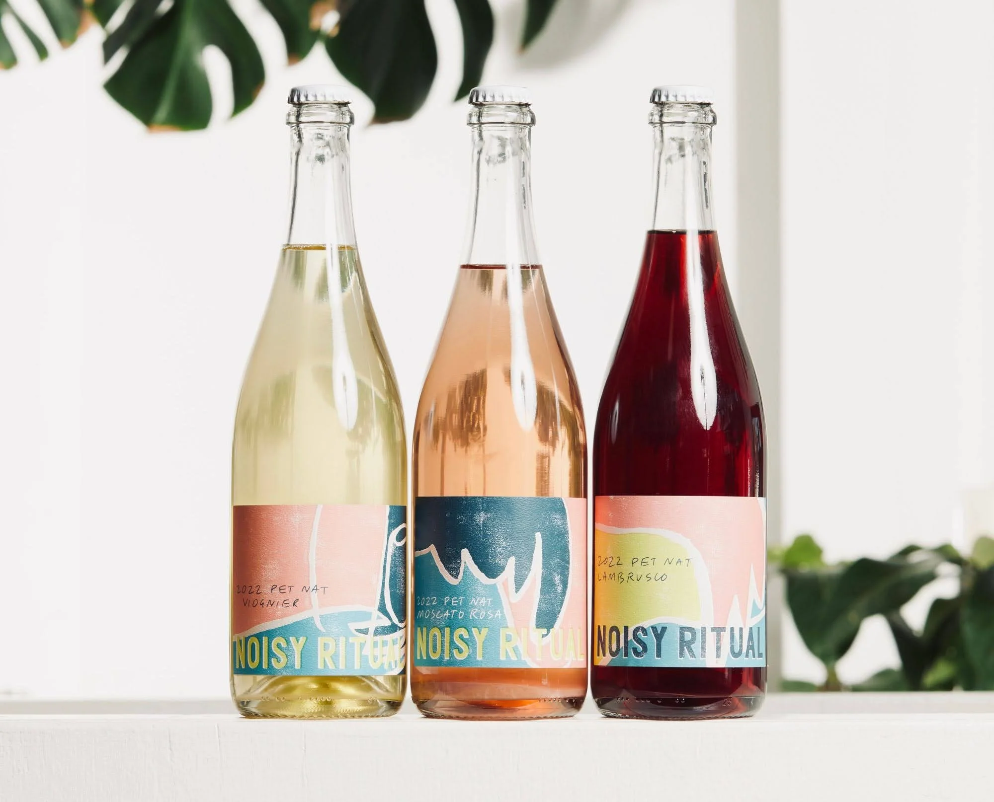 The Shop — Noisy Ritual