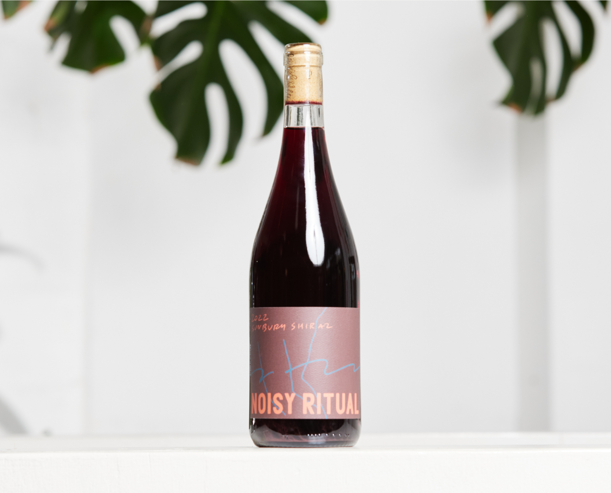 The Shop — Noisy Ritual