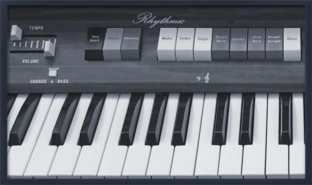 RETRO ORGAN DRUMS — loops de la crème