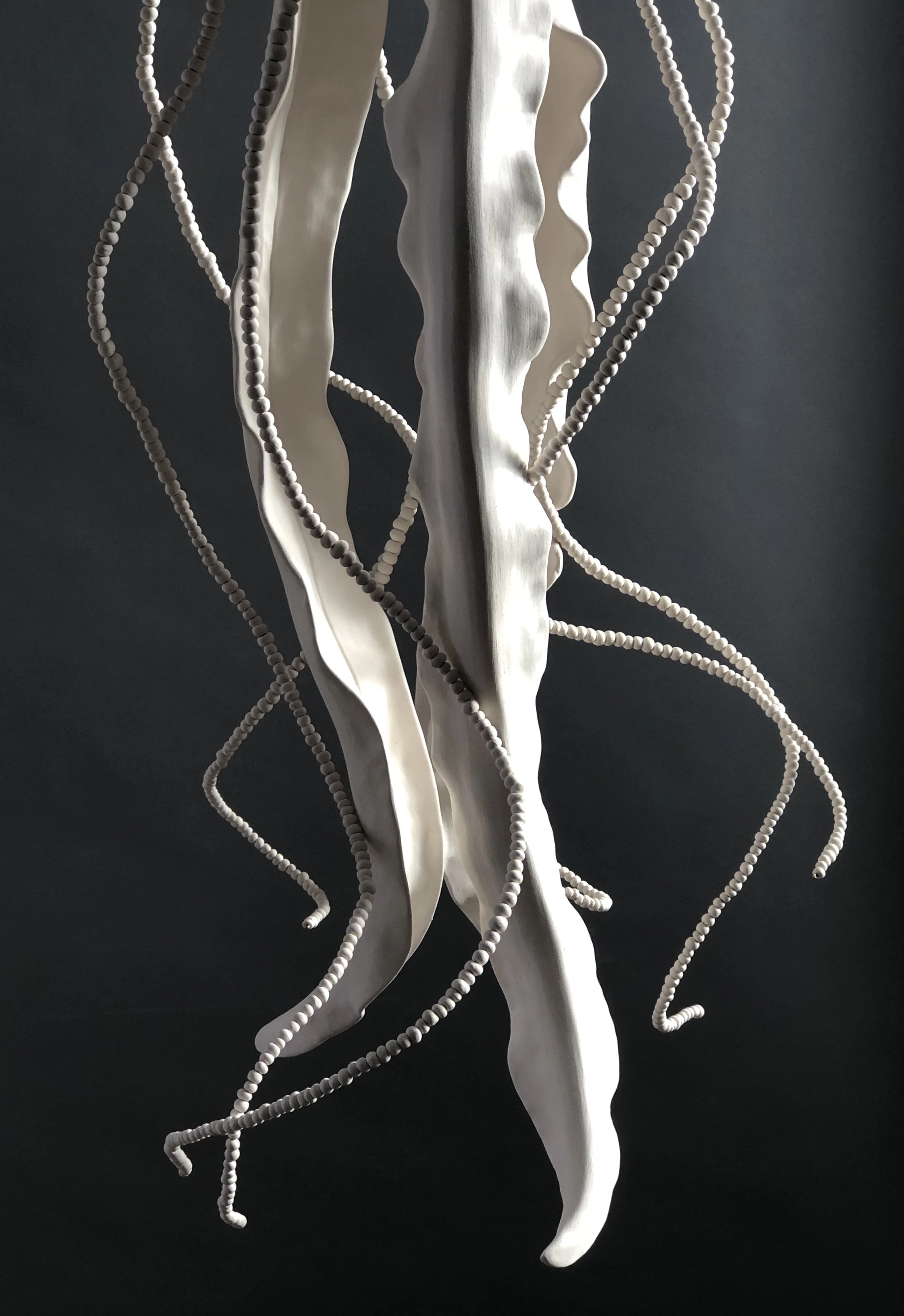 CERAMIC JELLYFISH — ALISSA COE STUDIO