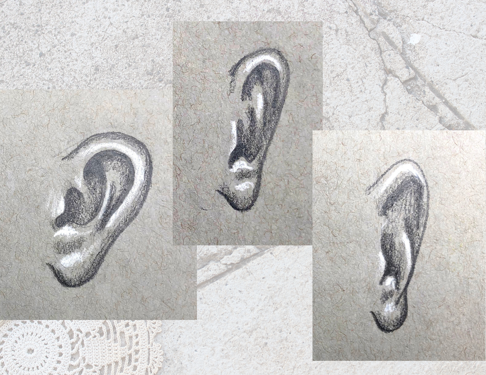 How to Draw Ears — Caleigh Bird Art